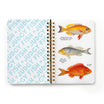 Judgy Fish Sticker Book – Blue Seven